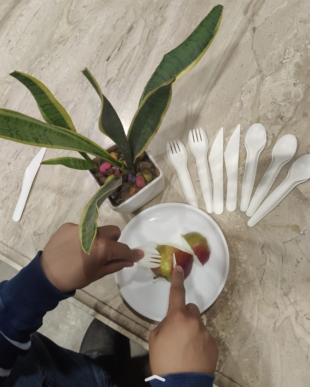 Get High Quality Paper Cutlery With Polygon Papertech